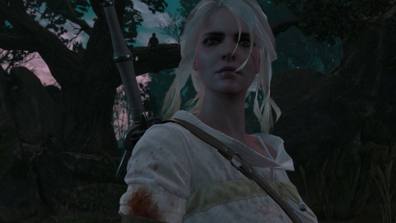 witcher7 - WayTooManyGames